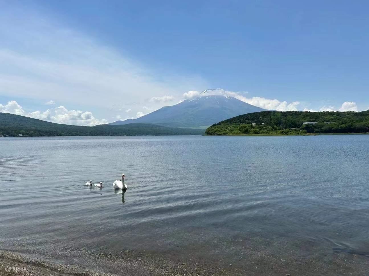 Popular Mt. Fuji amphibious bus day tour｜KABA BUS/Swan Lake Cruise ...