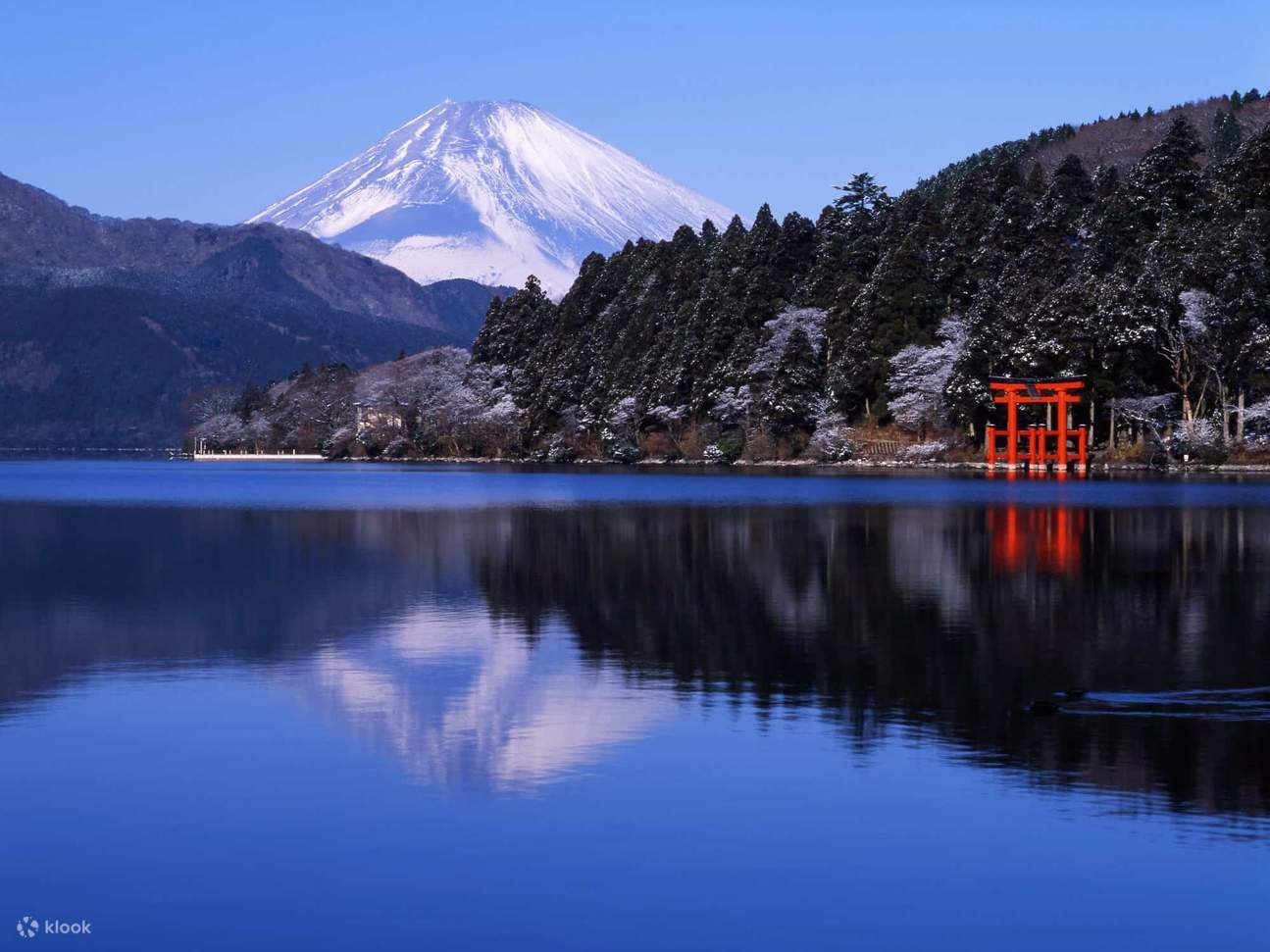 Hakone Shrine, Togendai, and Owakudani Day Tour from Tokyo - Klook