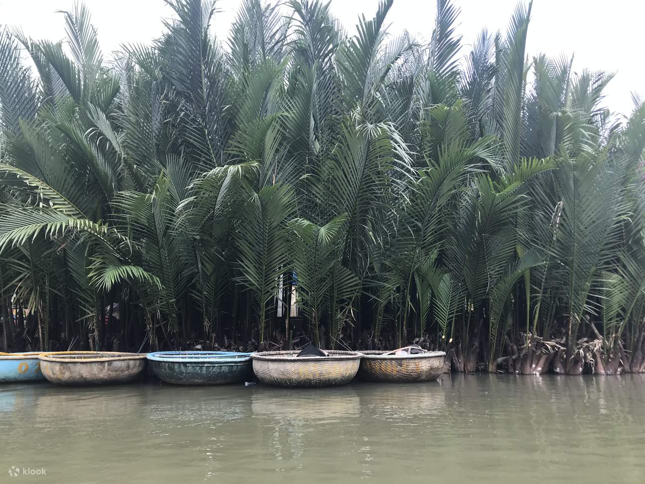 Private Round Trip Transfer Between Da Nang City and Coconut Forest ...