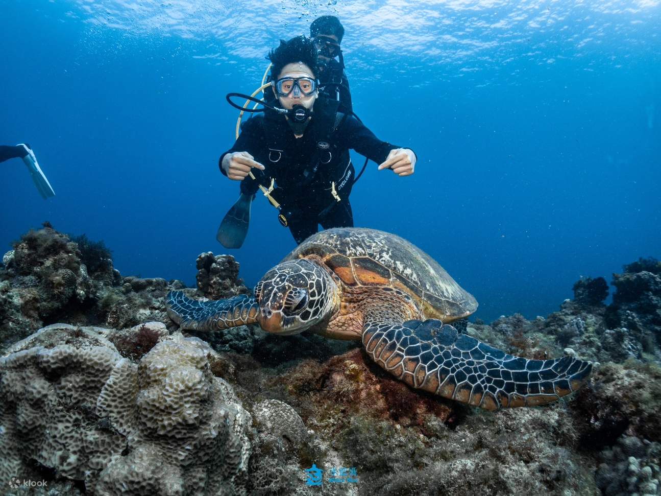 Pingtung: Shuilanshe Diving - License-free Experience Diving in ...