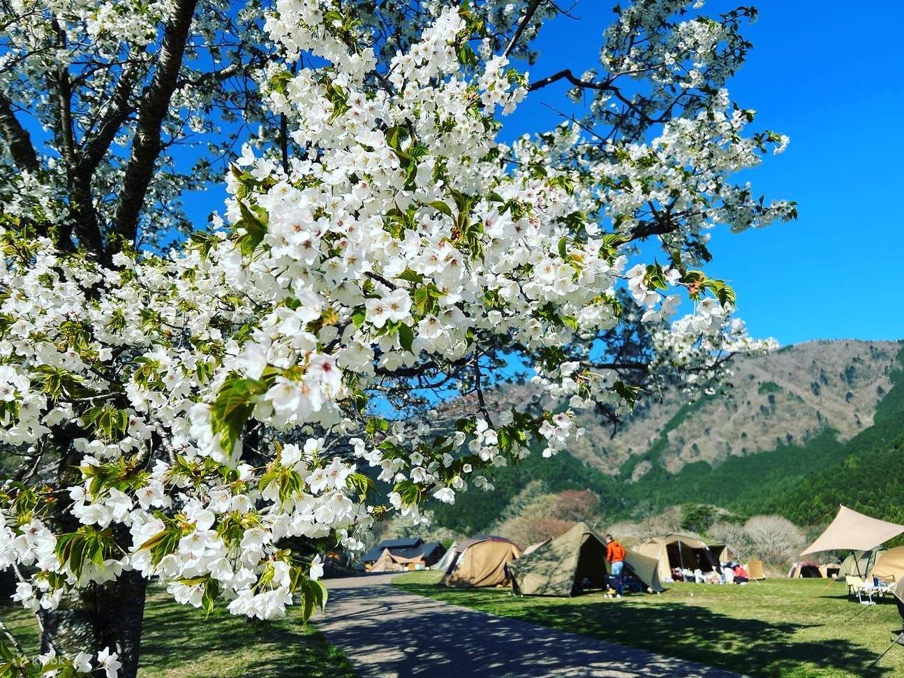 A two-day camping experience at Lake Tanuki Campground, where you can ...