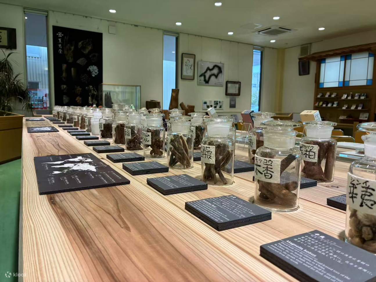 Kansai Minor Secret Realm One-Day Tour: Awaji Island / Mount Koya ...