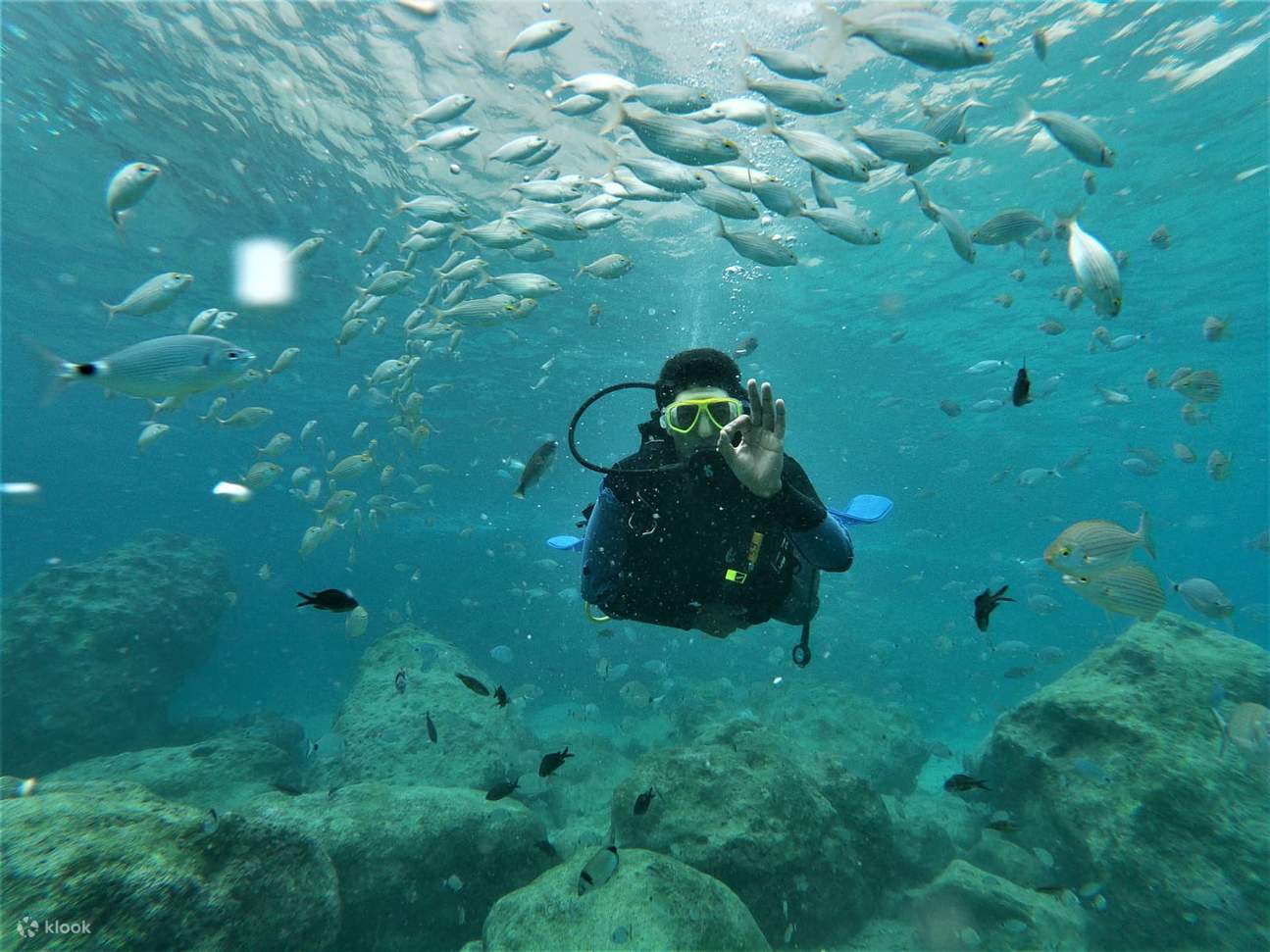 Experience the Thrill of Diving into the Depths with Scuba Diving - Klook Experience the Thrill of Diving into the Depths with Scuba Diving - Klook