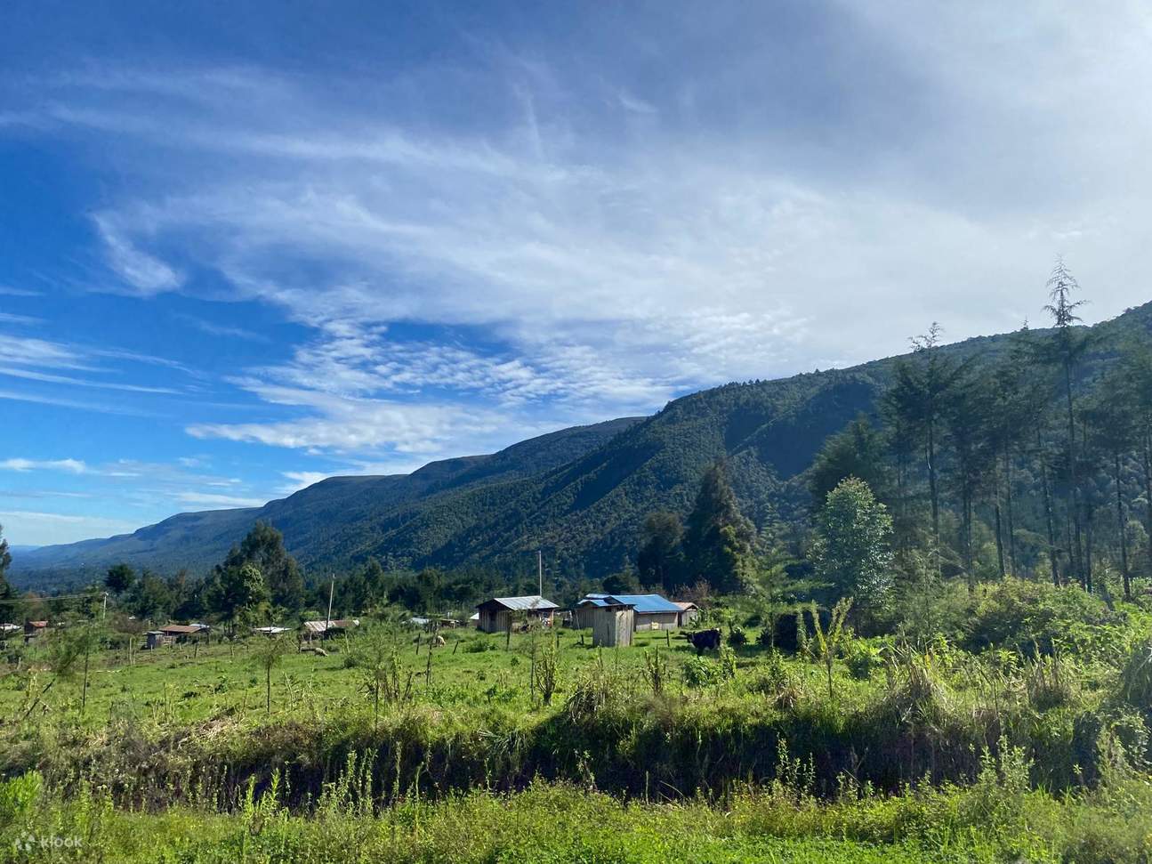 Discover Nature's Magic: One-Day Hike to the Enchanting Seven Ponds of ...
