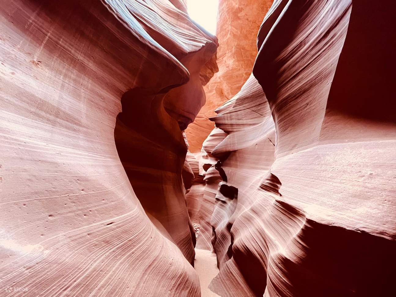 Grand Canyon National Park+ Antelope Canyon+ Horseshoe Bend 2-Day To ...