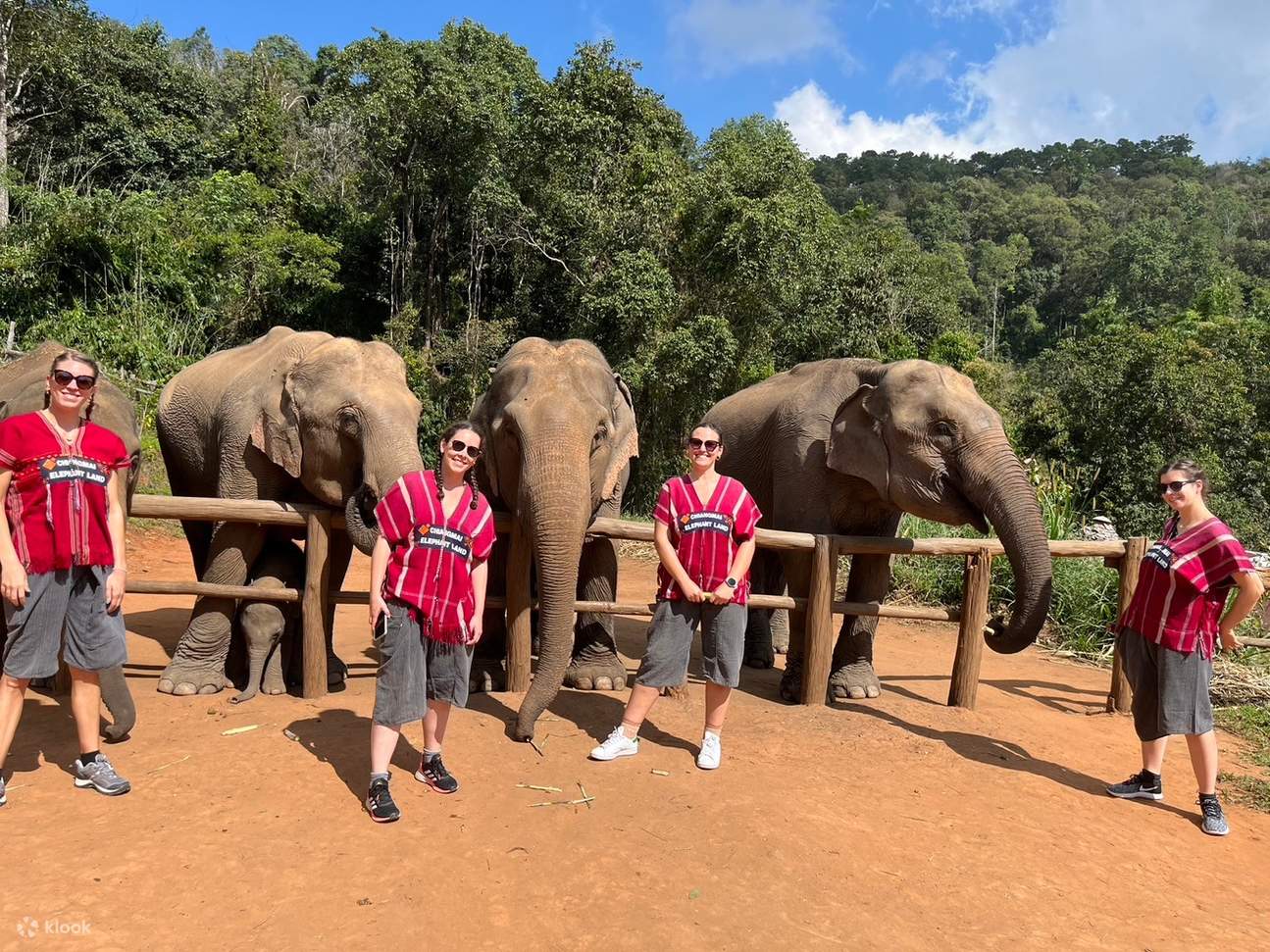 One Day Visit to Elephant Land - Klook Philippines