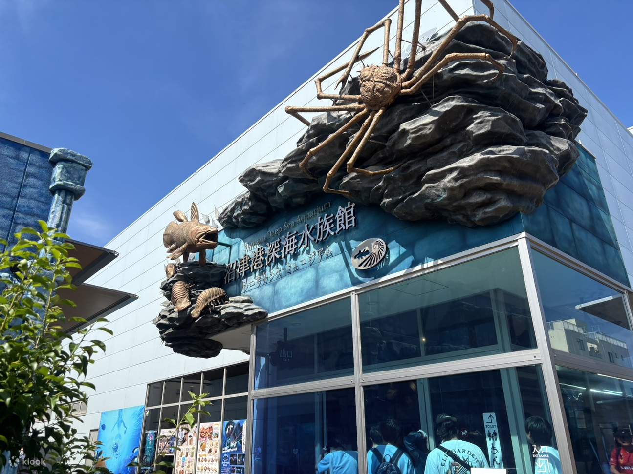 Gotemba Outlet and Numazu Port Day Trip - Klook