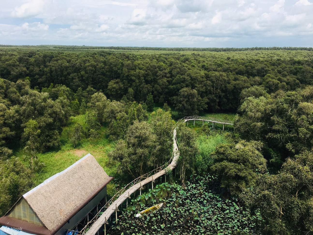 Tra Su Cajuput Forest Day Tour from Can Tho - Klook Australia