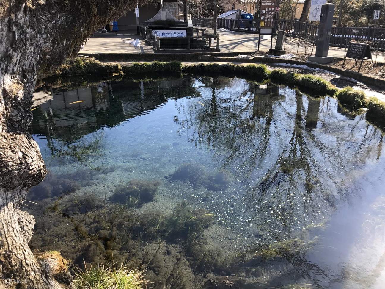 Popular Mt. Fuji amphibious bus day tour｜KABA BUS/Swan Lake Cruise ...