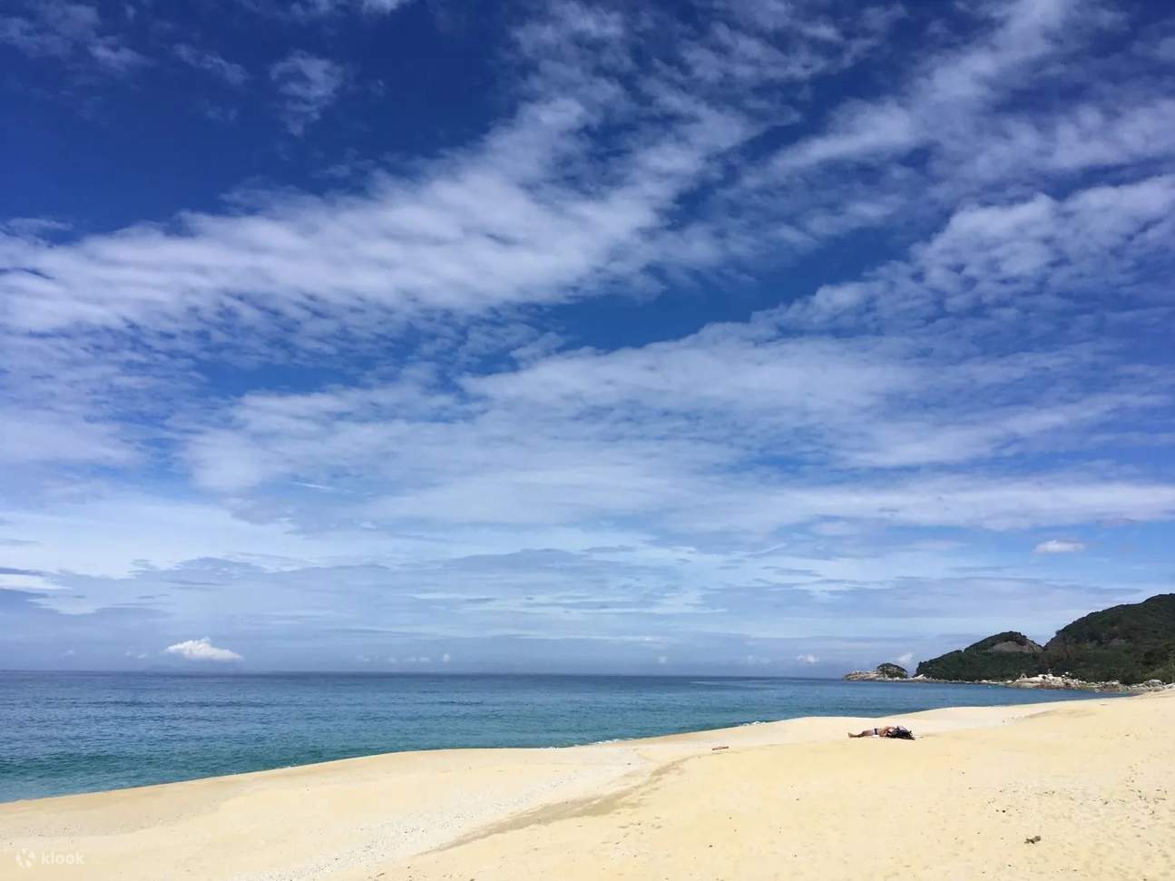 Yakuzaru Sightseeing Bus: Yakushima Island Morning Half-Day Tour - Klook