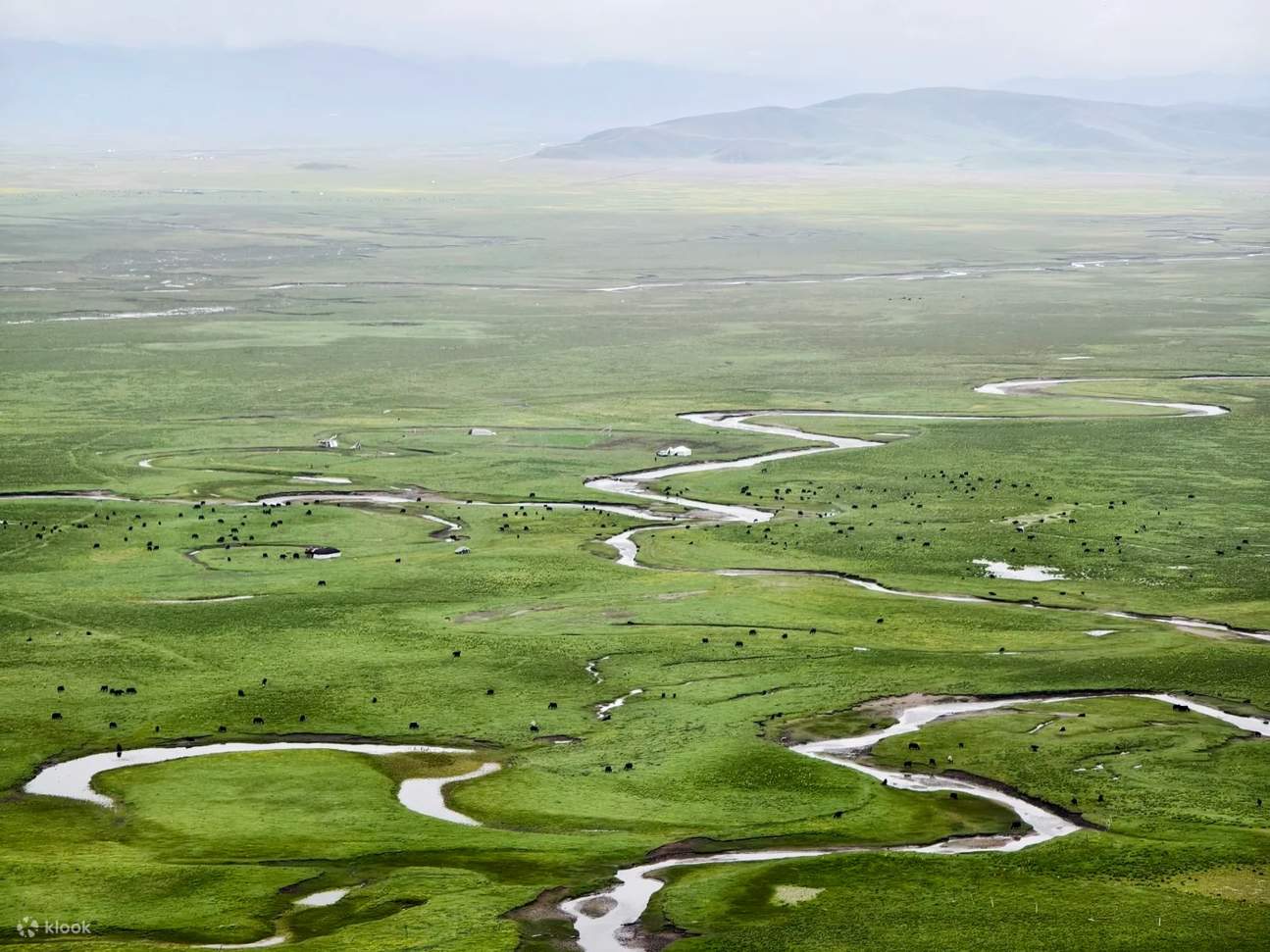 5 days in the secret land of Gannan (Amigonghong, a luxury grassland ...