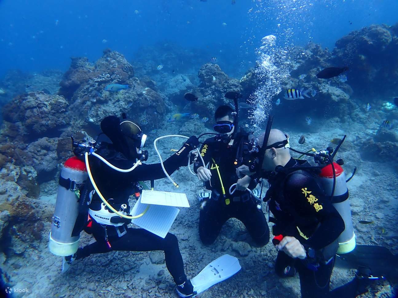 綠島火燒島潛水padi Ow・aow・自由潛水考照・體驗潛水・旅遊潛水・padi救援rescue｜超值優惠 Klook 客路