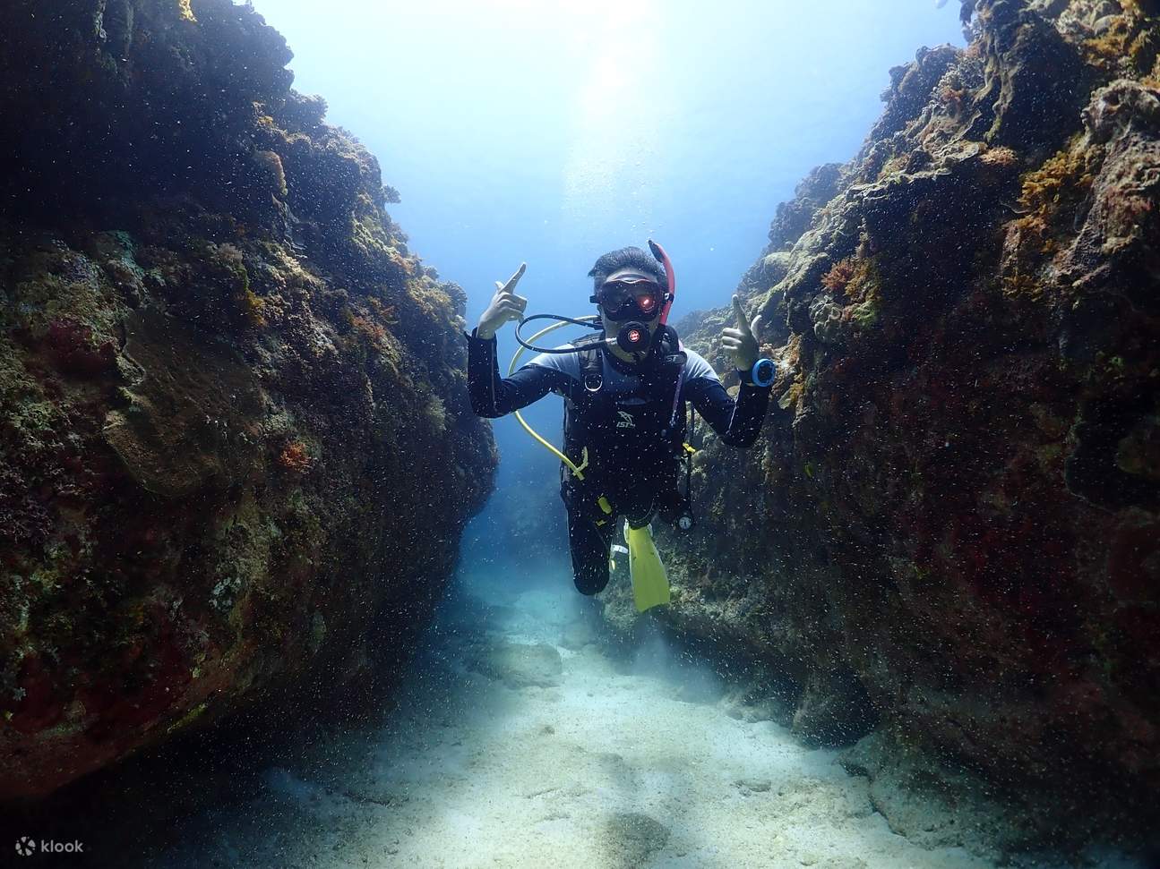 Green Island Huoshao Island Diving PADI OW・AOW・Freediving License ...