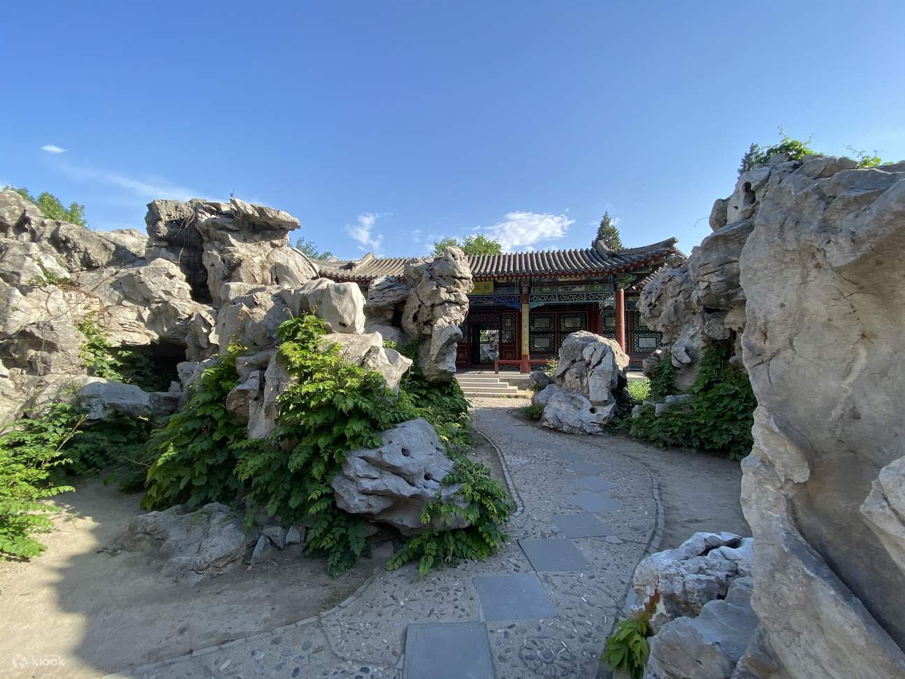 Chinese Tea Art Experience - Learn about Chinese tea culture in Beijing ...