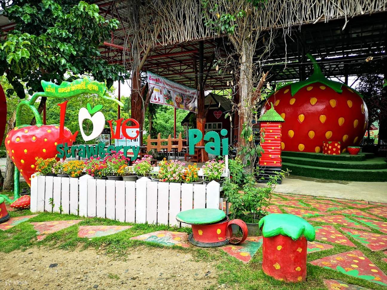 Tour Một Ngày Pai - Klook Việt Nam