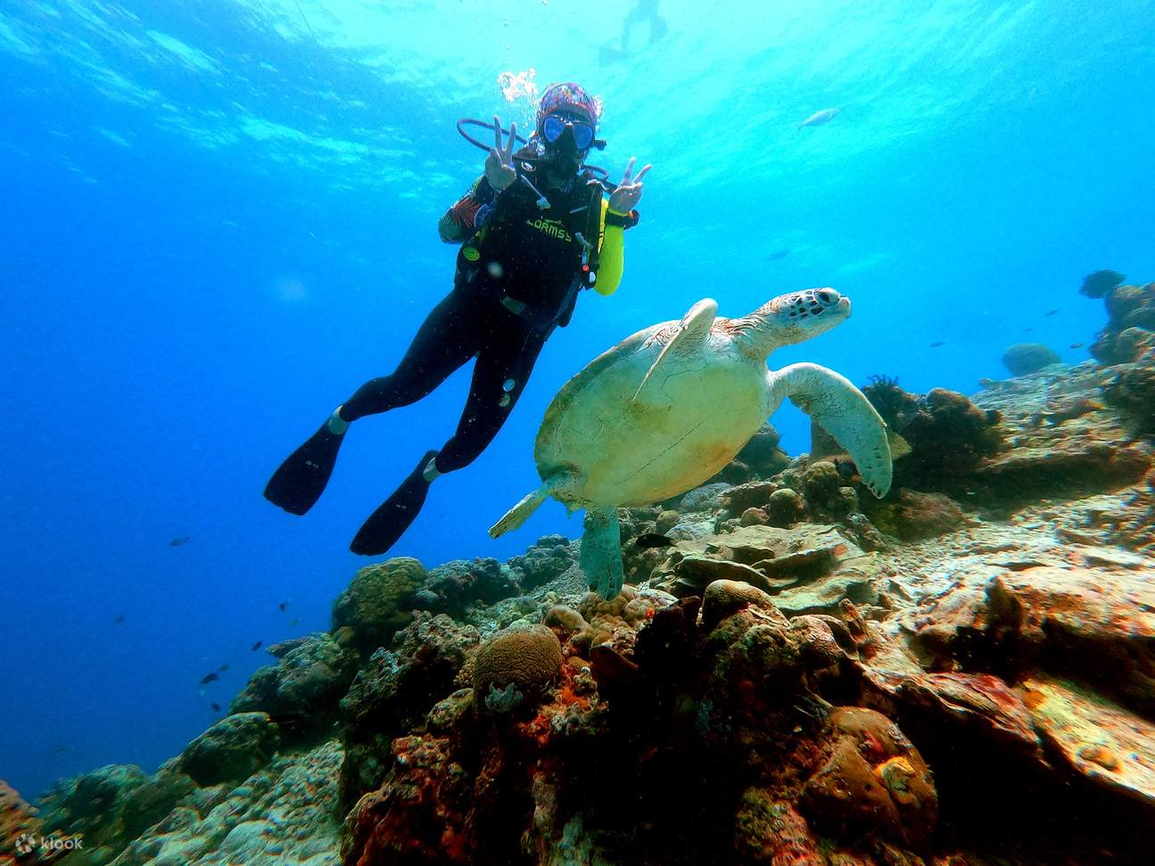 The Reef Dive Resort Overnight Package at Mataking Island in Semporna ...