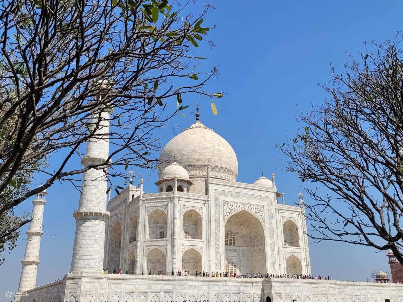 Taj Mahal & Day Trip Agra Tour From Delhi With Options - Klook