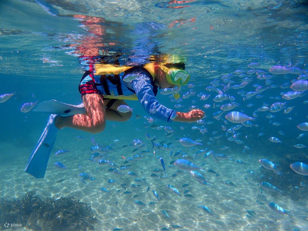 半日幻の島上陸＆シュノーケル体験（GoPro無料レンタル付き）（石垣島） | Klook
