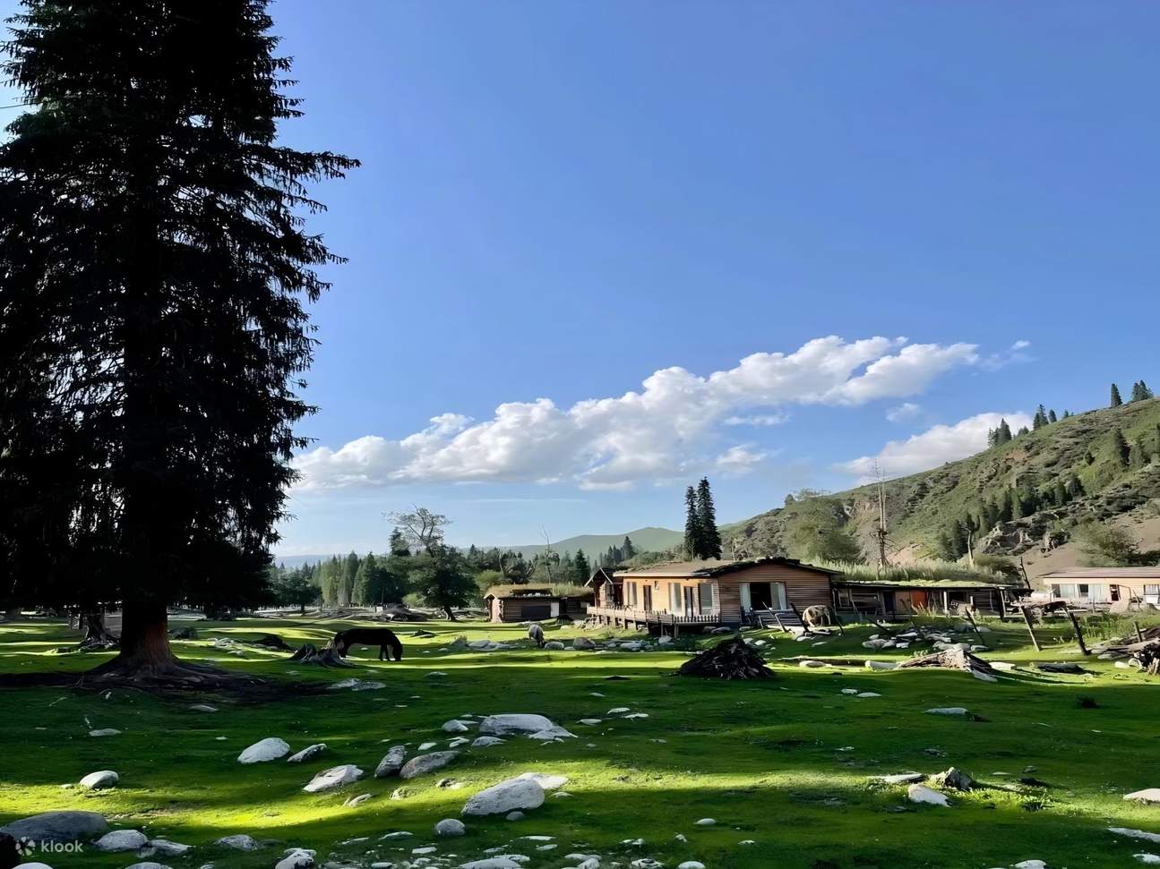 5-Day Luxury Xinjiang North Xinjiang Yining Tour (Self-Drive ...