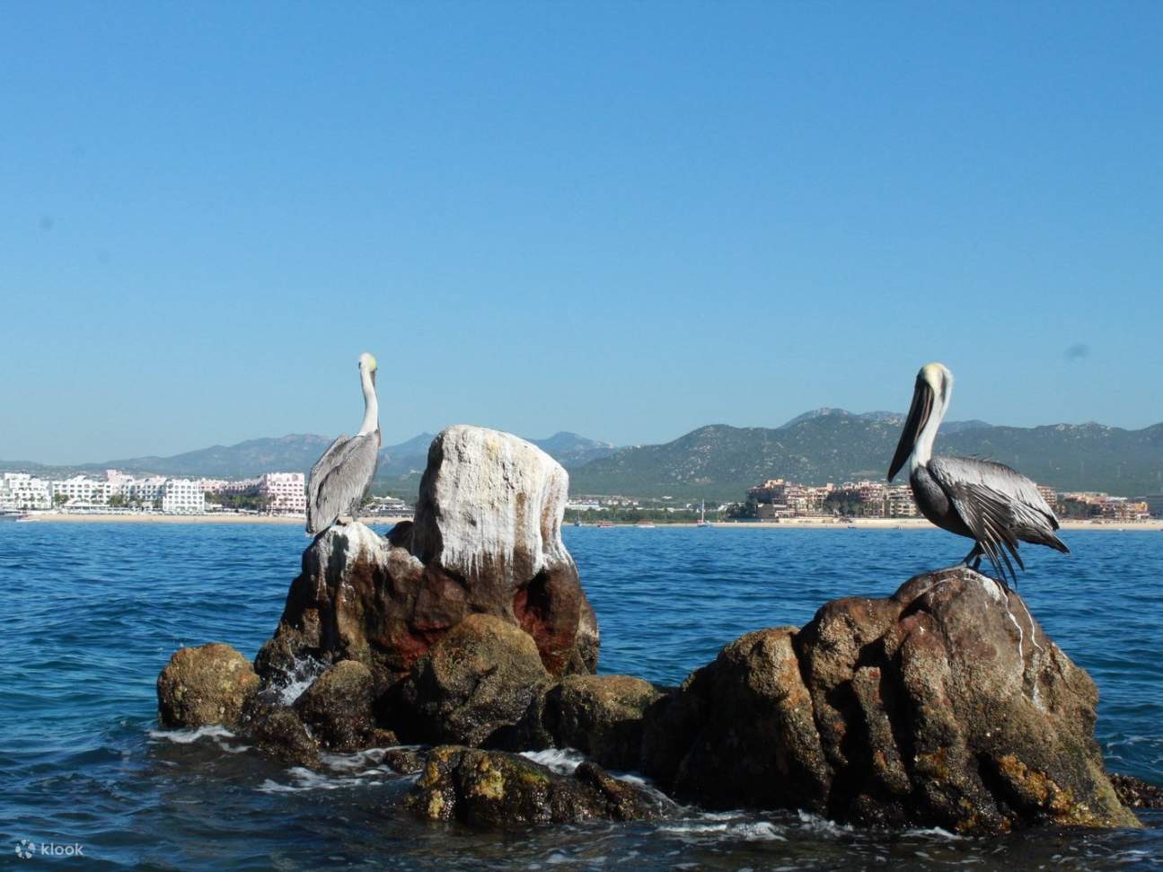 Đi thuyền đáy kính ở Cabo San Lucas, tự do tham quan Playa del Amor ...