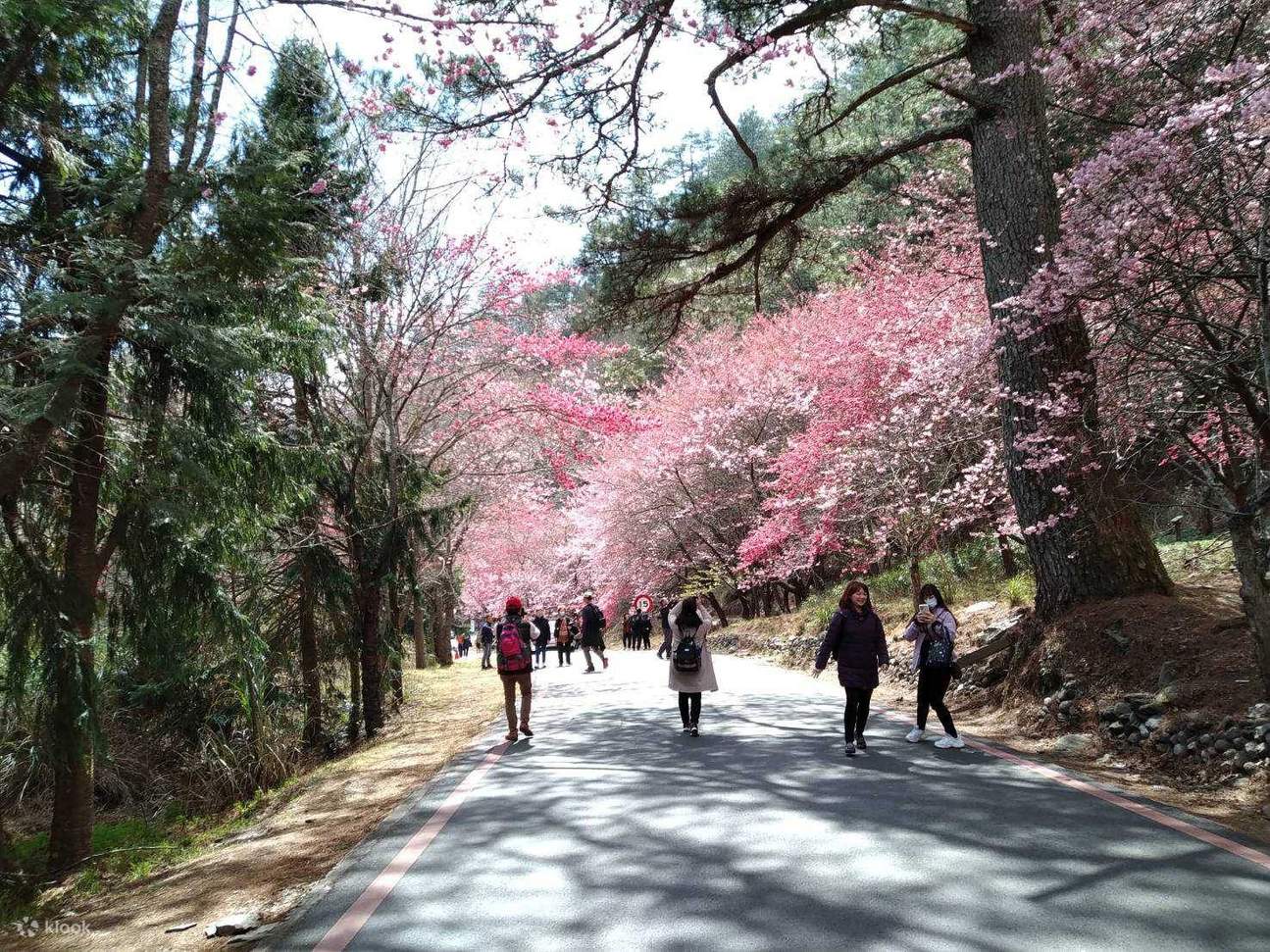 Wuling Farm Day Tour from Taipei, Taiwan - Klook Singapore