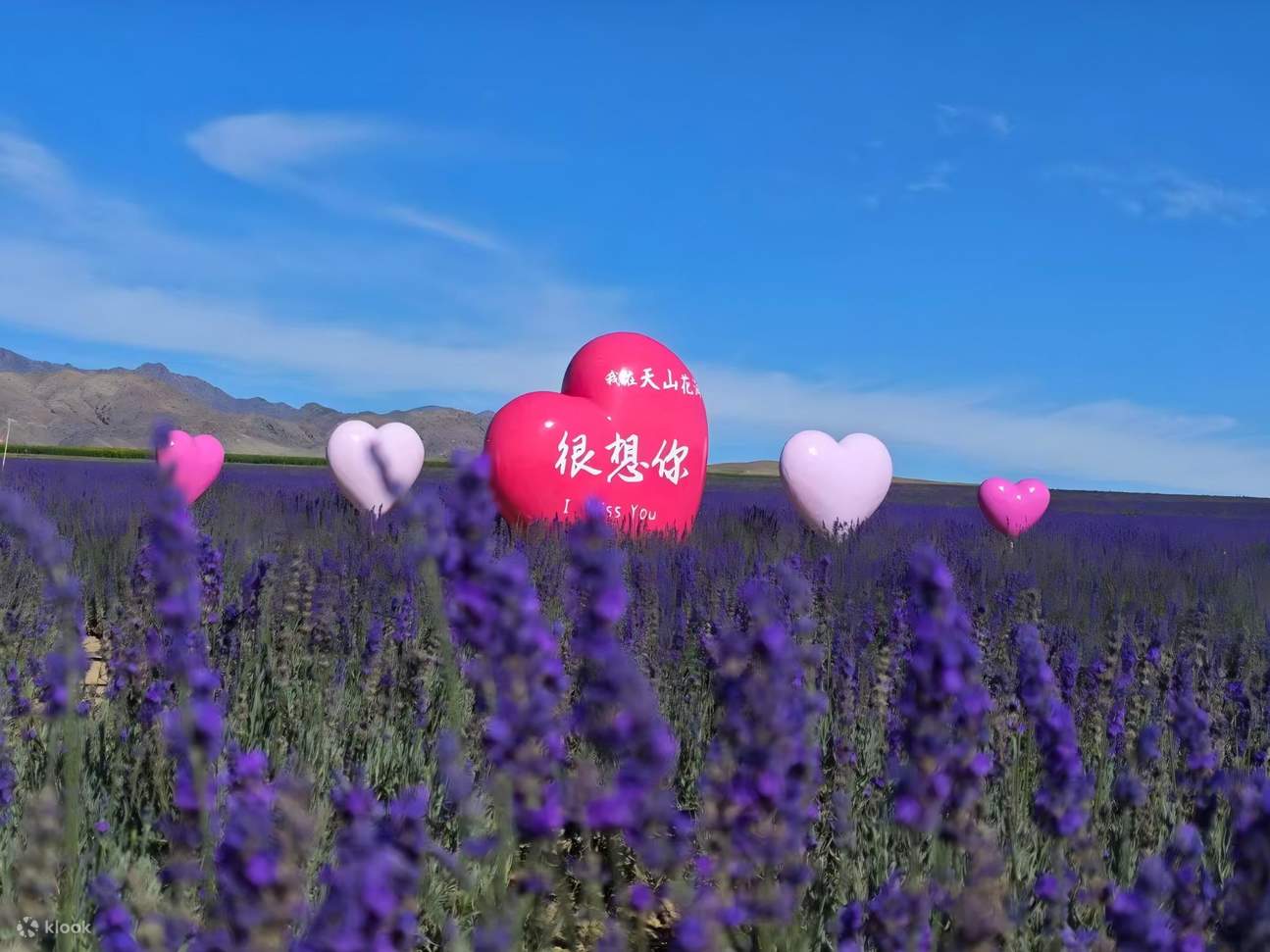 5-Day Luxury Xinjiang North Xinjiang Yining Tour (Self-Drive Exploration of Narat + Lake Sailimu ...