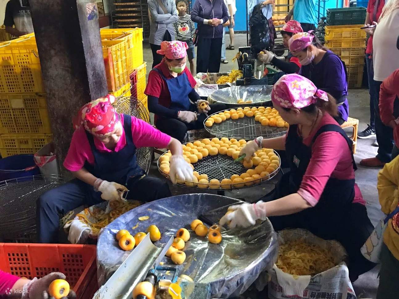 Hsinchu Sugar Culture and Dried Persimmon Experience from Taipei - Klook