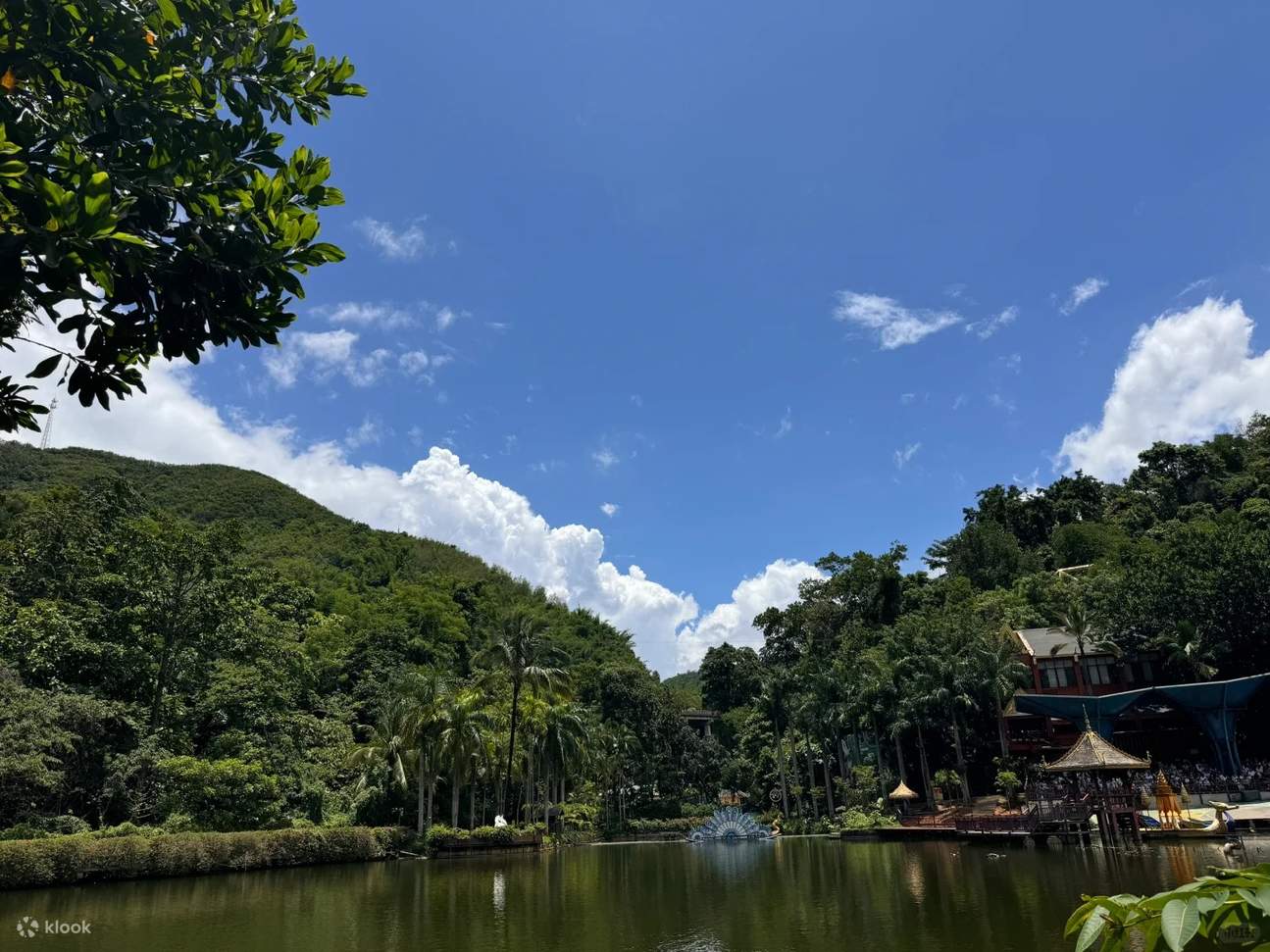 Xishuangbanna Wild Elephant Valley, Primitive Forest Park/Manzhang Village Day Trip (Optional ...