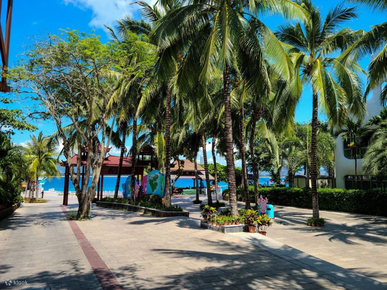 Yalong Bay Tropical Paradise Forest Park - Klook Singapore