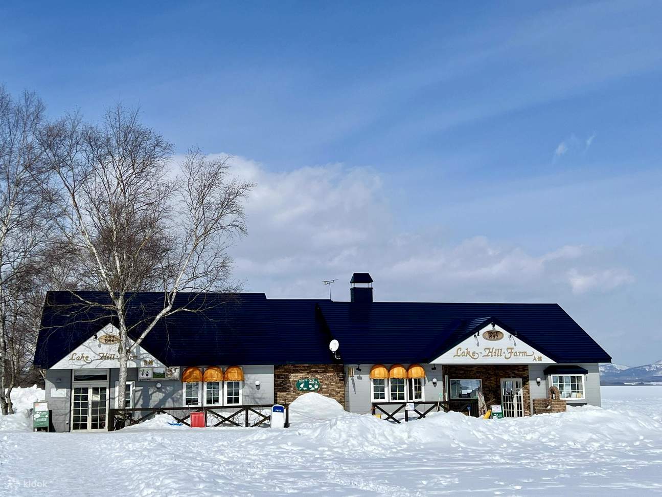 Lake Toya, Showa Shinzan Bear Farm, and Noboribetsu Jigokudani Day Tour ...