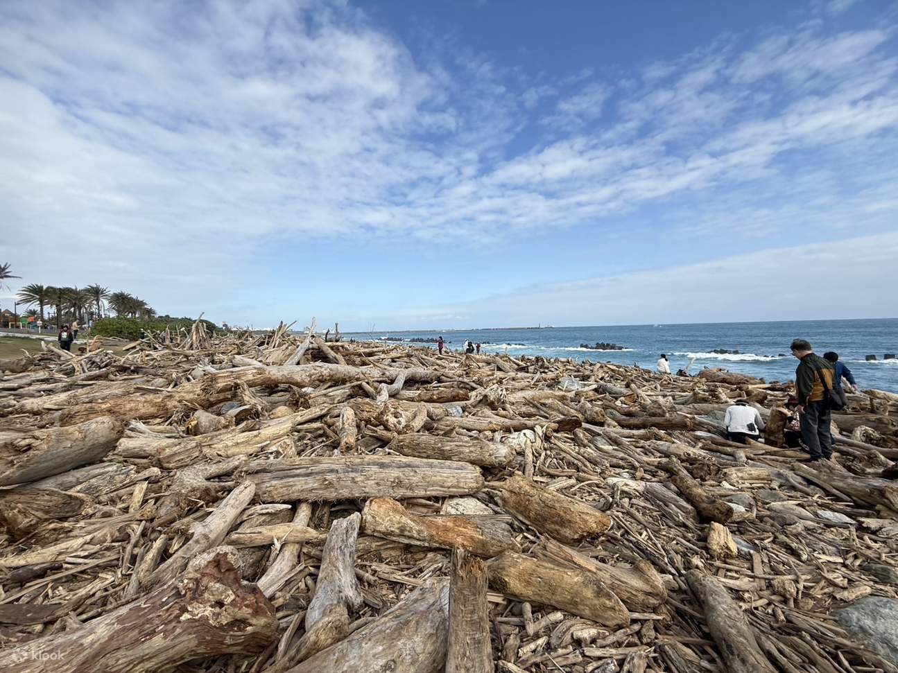 One-day tour to Qixingtan, Chinan, Liyutan, Pacific Park, and Jiangjun ...