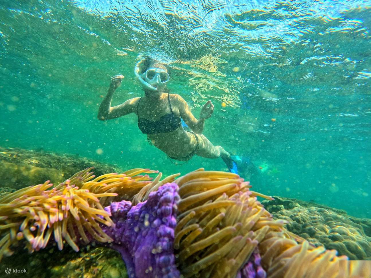 Phu Quoc Snorkeling Day Tour to Explore Coral Jungle Reef - Klook India
