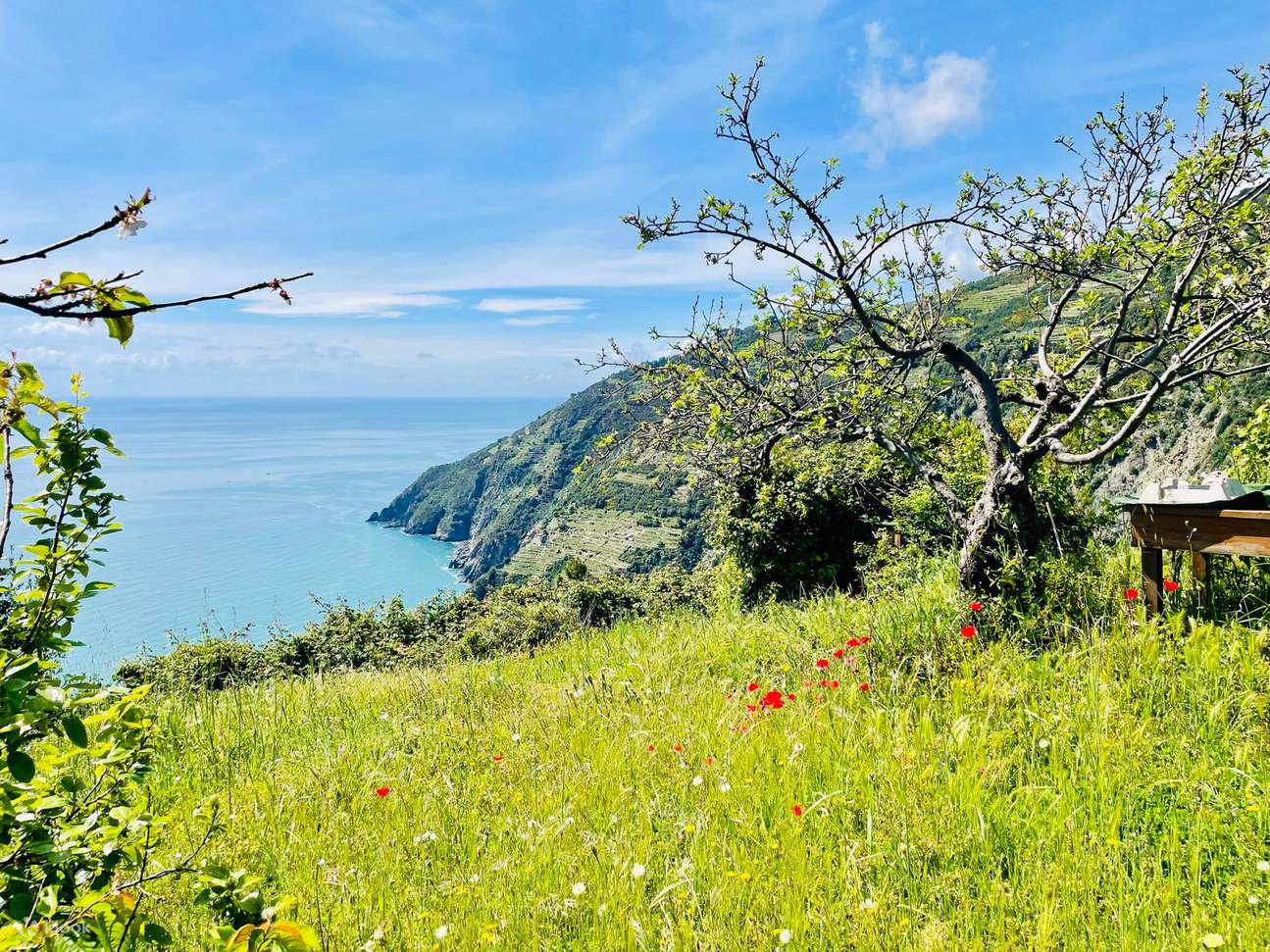 Hiking through the Geosites, terraces, and history of the 5 Terre ...