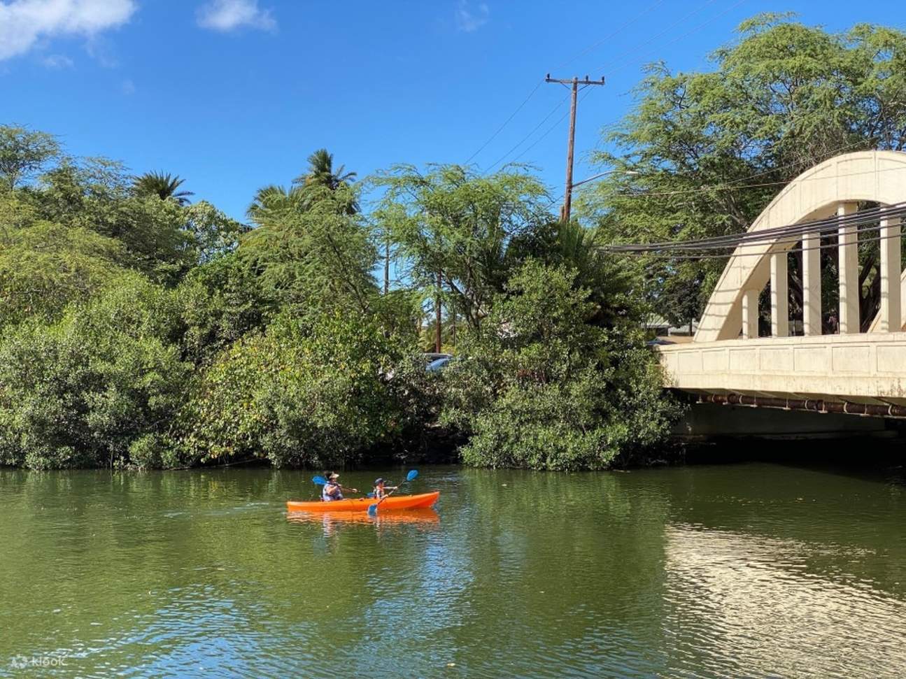 North Shore Tour from Ko Olina - Klook