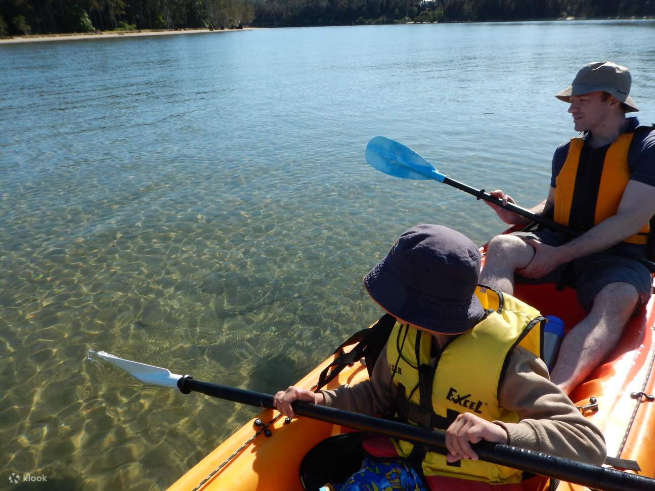 Glass Bottom Kayak Tour of Cullendulla Sanctuary - Klook Australia