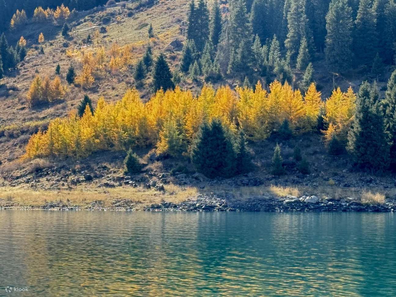 Berangkat dari Urumqi - Tur satu hari ke Danau Tianchi di Pegunungan ...