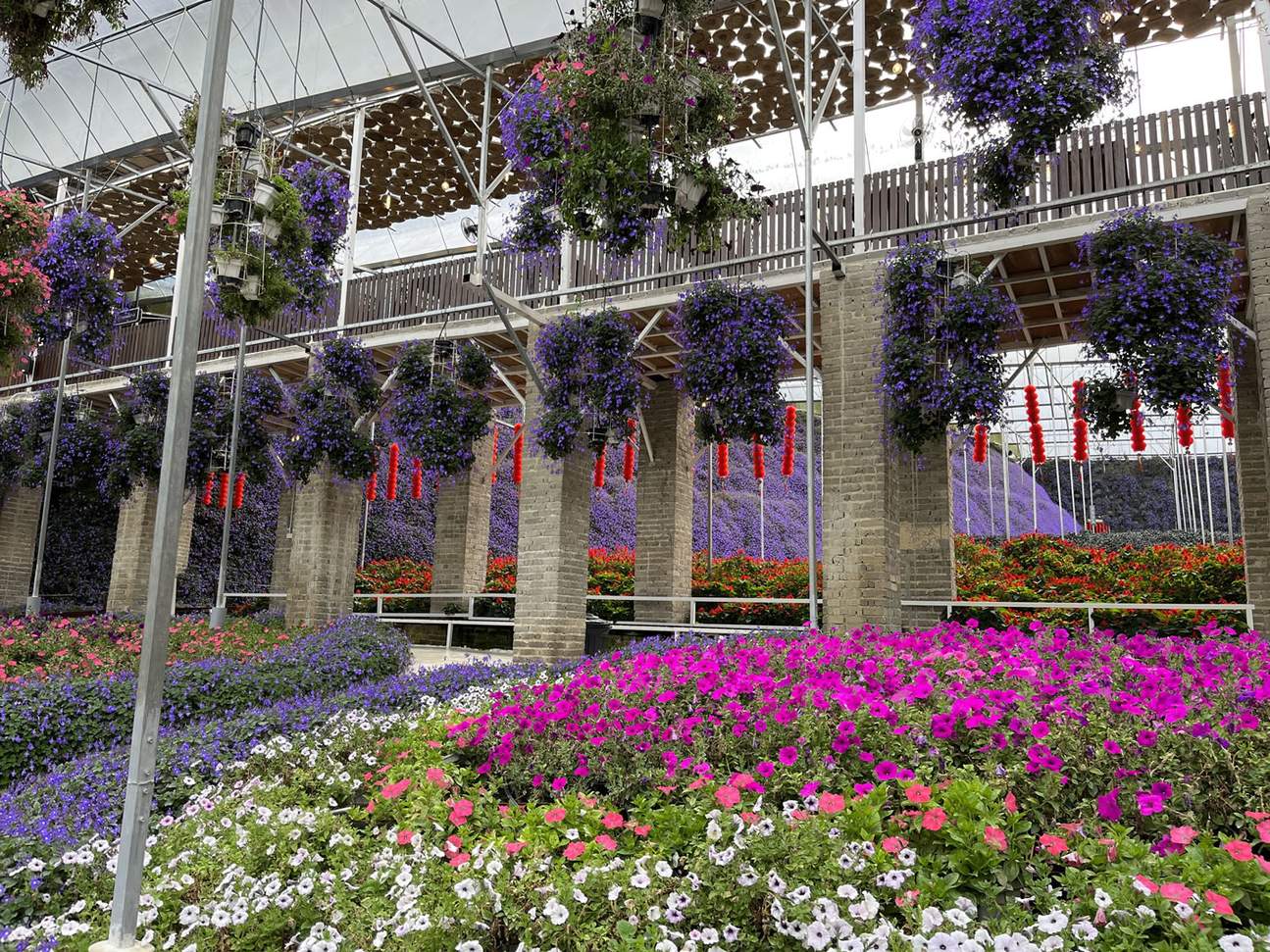 Cameron Highlands Full Day Sightseeing Tour - Klook Singapore