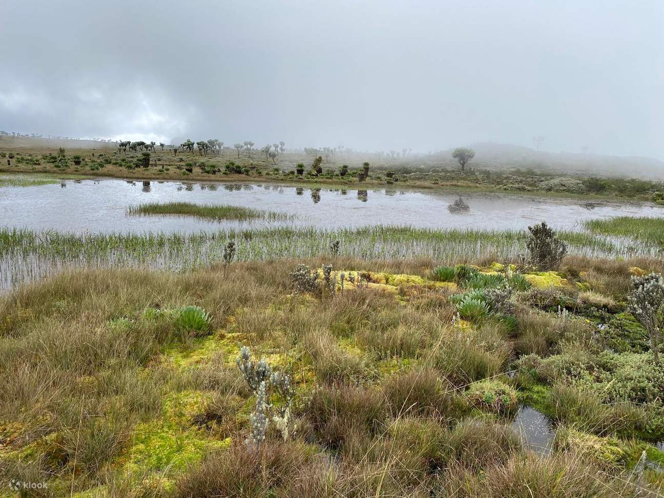 Discover Nature's Magic: One-Day Hike to the Enchanting Seven Ponds of ...