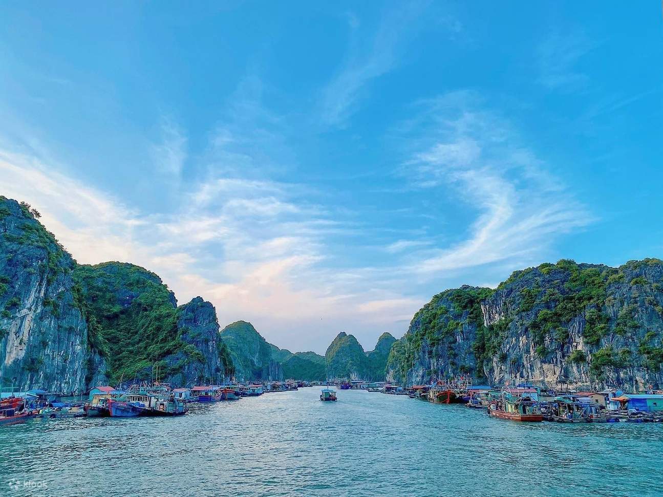 Full Day Cat Ba National Park Trekking Tour from Cat Ba Island, Vietnam ...