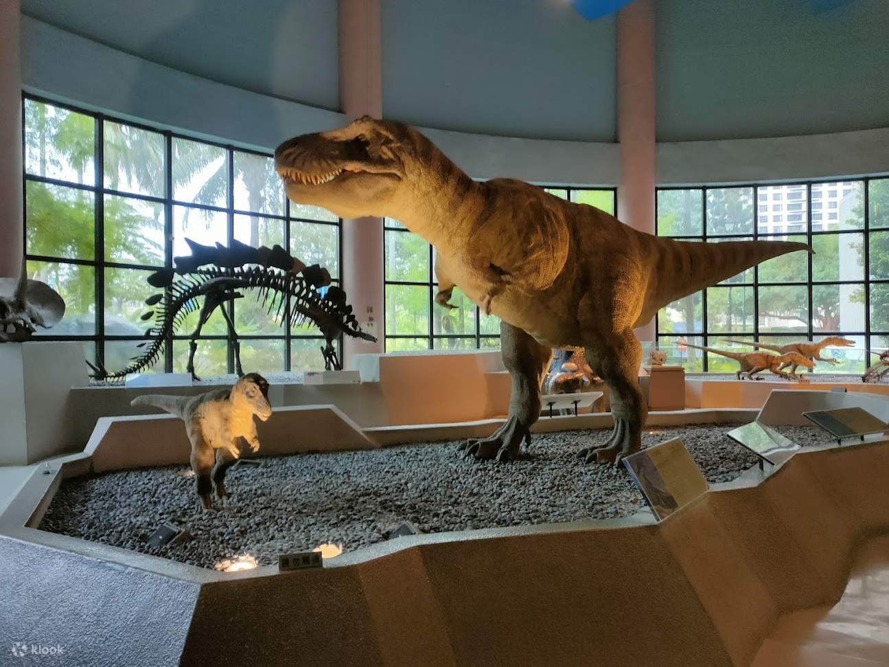 Taichung National Museum of Natural Science Main Building Exhibition ...