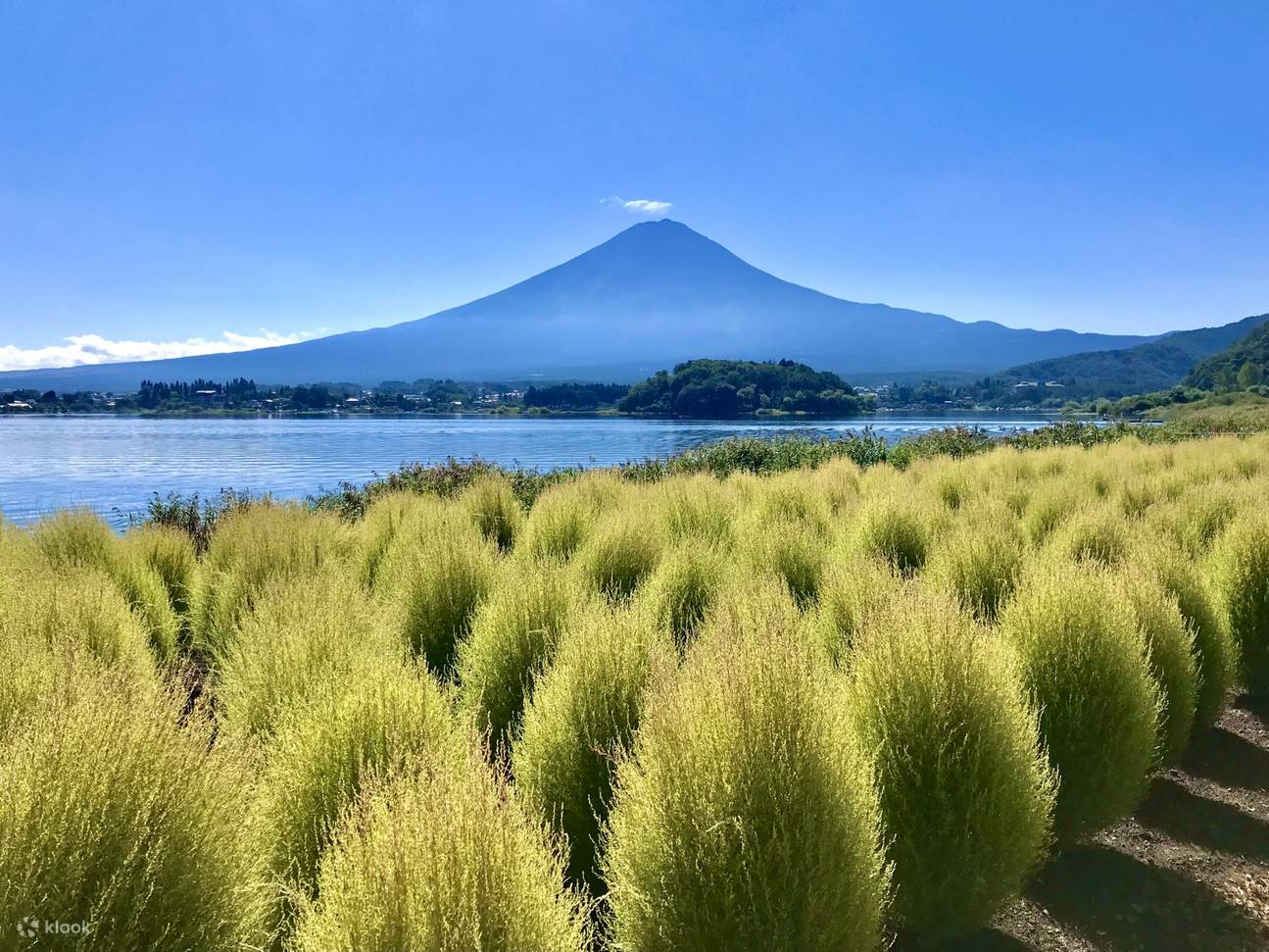 Lawatan Sehari di Kawasan Pemandangan Mt. Fuji dan Kawaguchi Lake dari ...