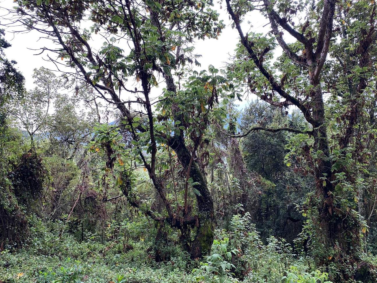 Discover Nature's Magic: One-Day Hike to the Enchanting Seven Ponds of ...