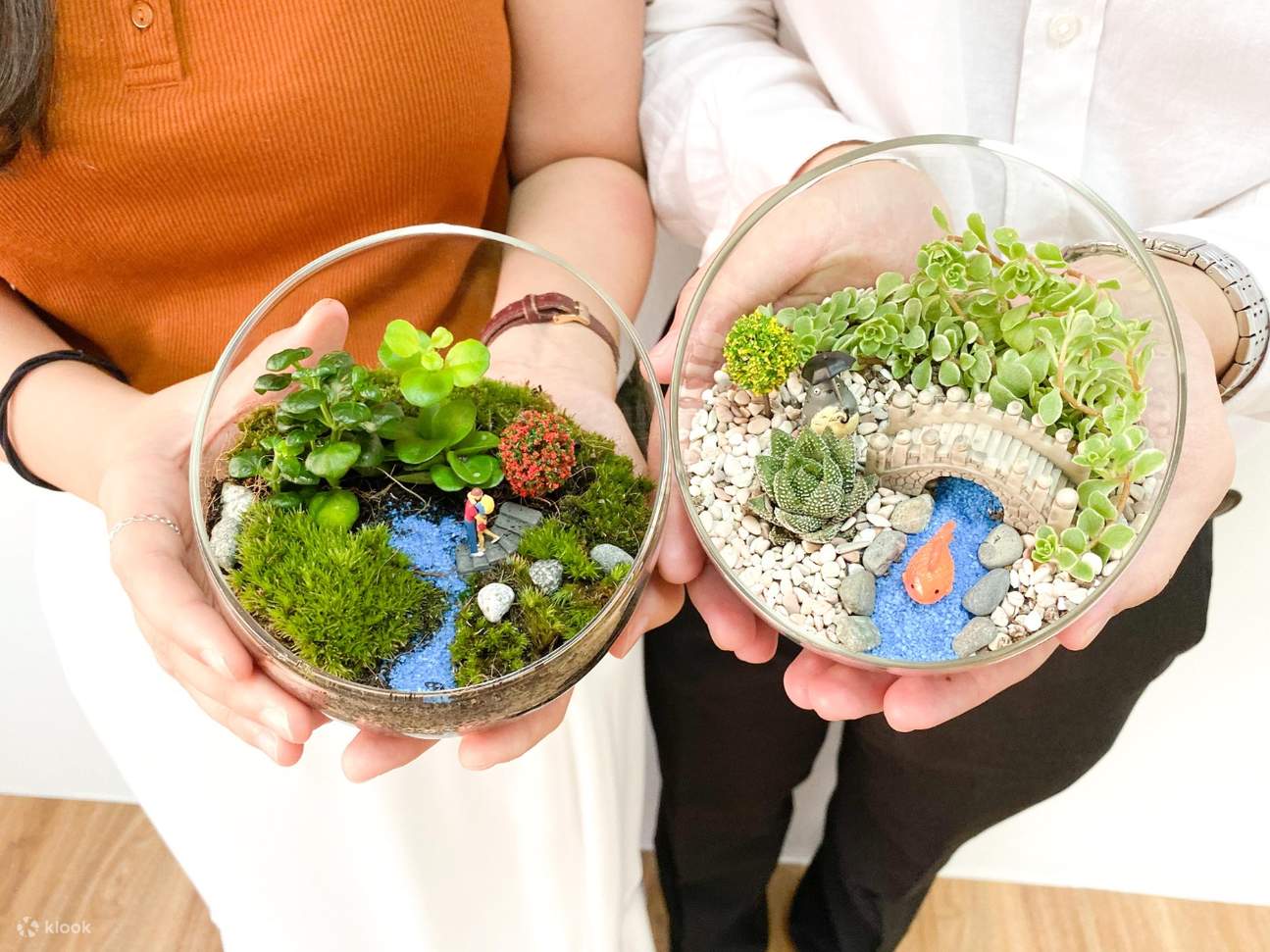 Terrarium Workshop in Singapore - Klook