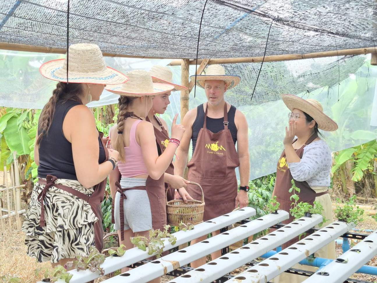 Chiang Mai Thai Cooking Organic Farm Visit and Scenic Train - Klook