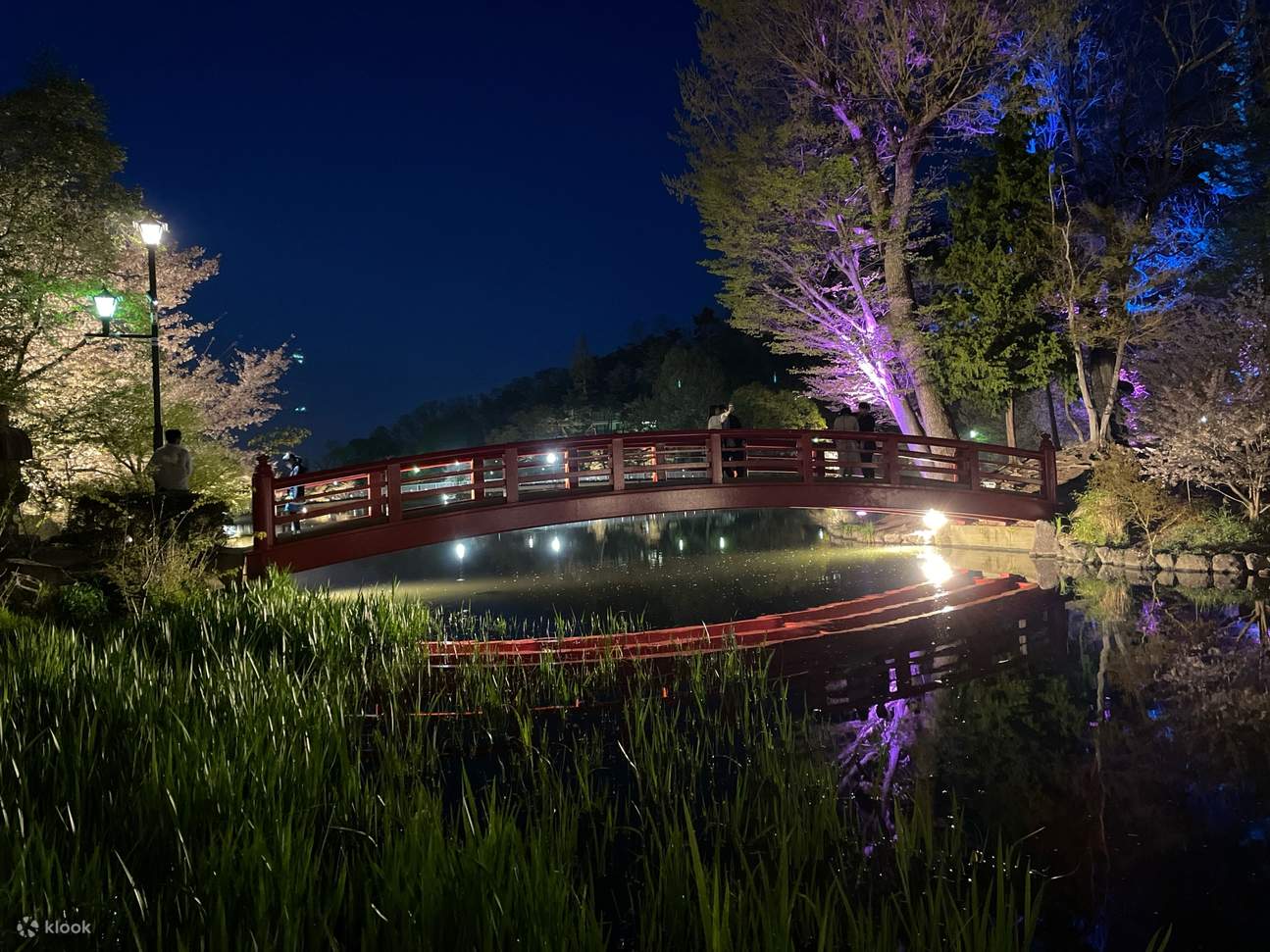 Snow Monkey & Cherry Blossom Illumination Bus Tour (Niigata/Nagano ...