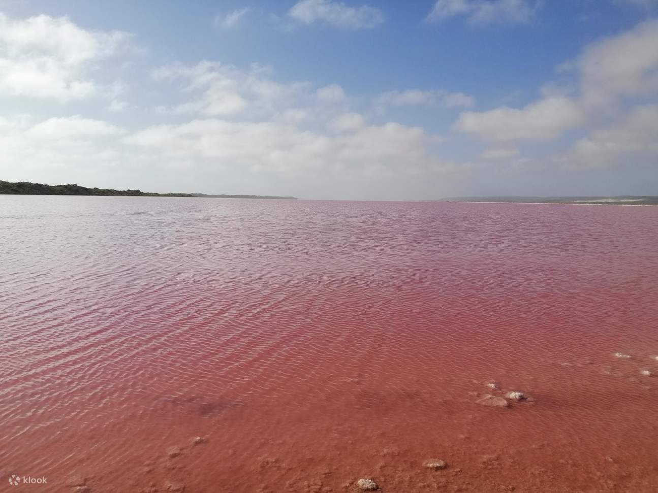 4 Day Pink Lake, Kalbari and South West Ultimate WA Tour - Klook