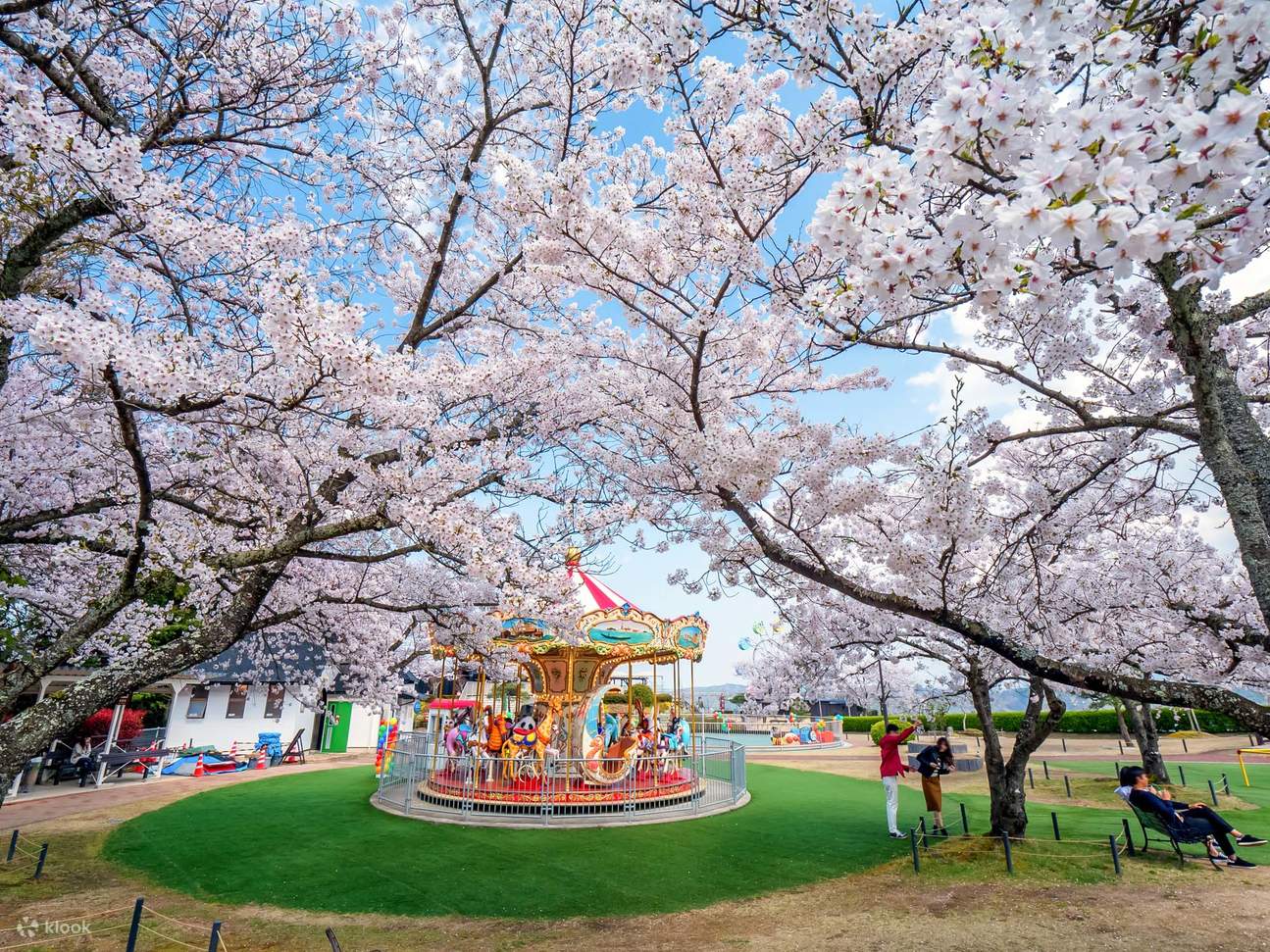 Amanohashidate & Ine Boathouses & Maizuru Port Seafood Market Sea of ...