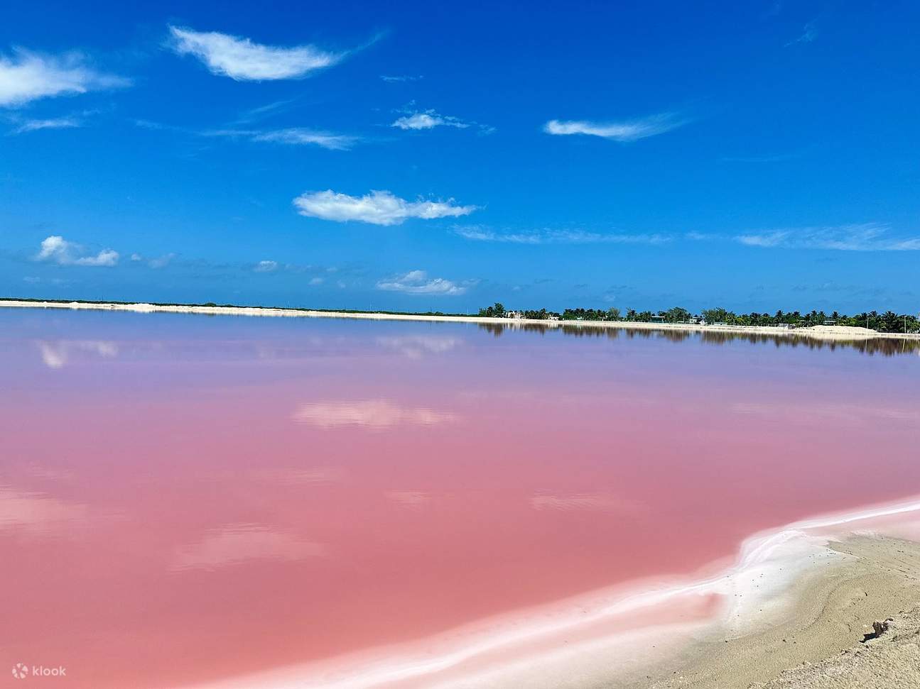 Day Tour to Las Coloradas in Mexico - Klook