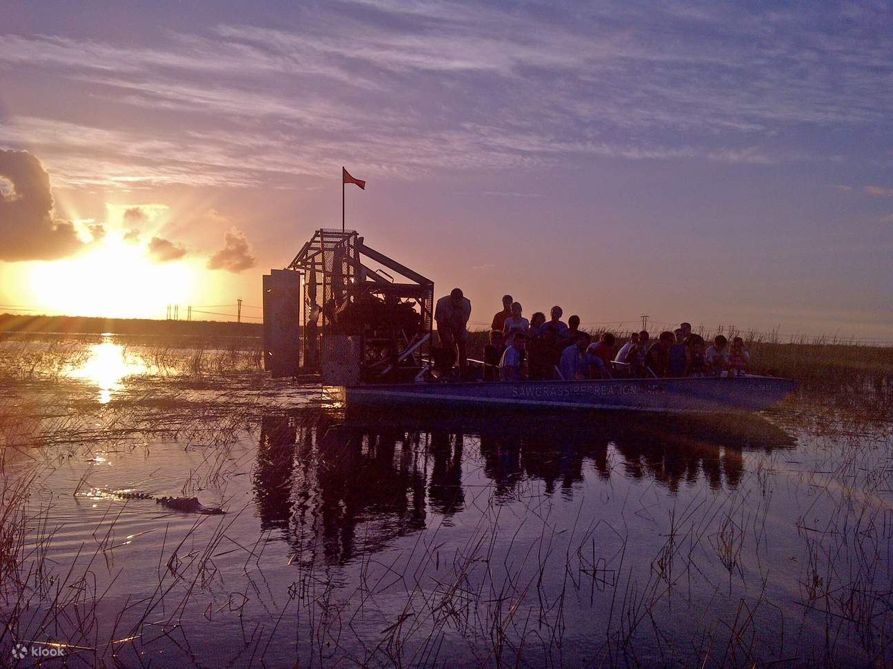 Miami Everglades Night Adventure with Alligator Spotting - Klook