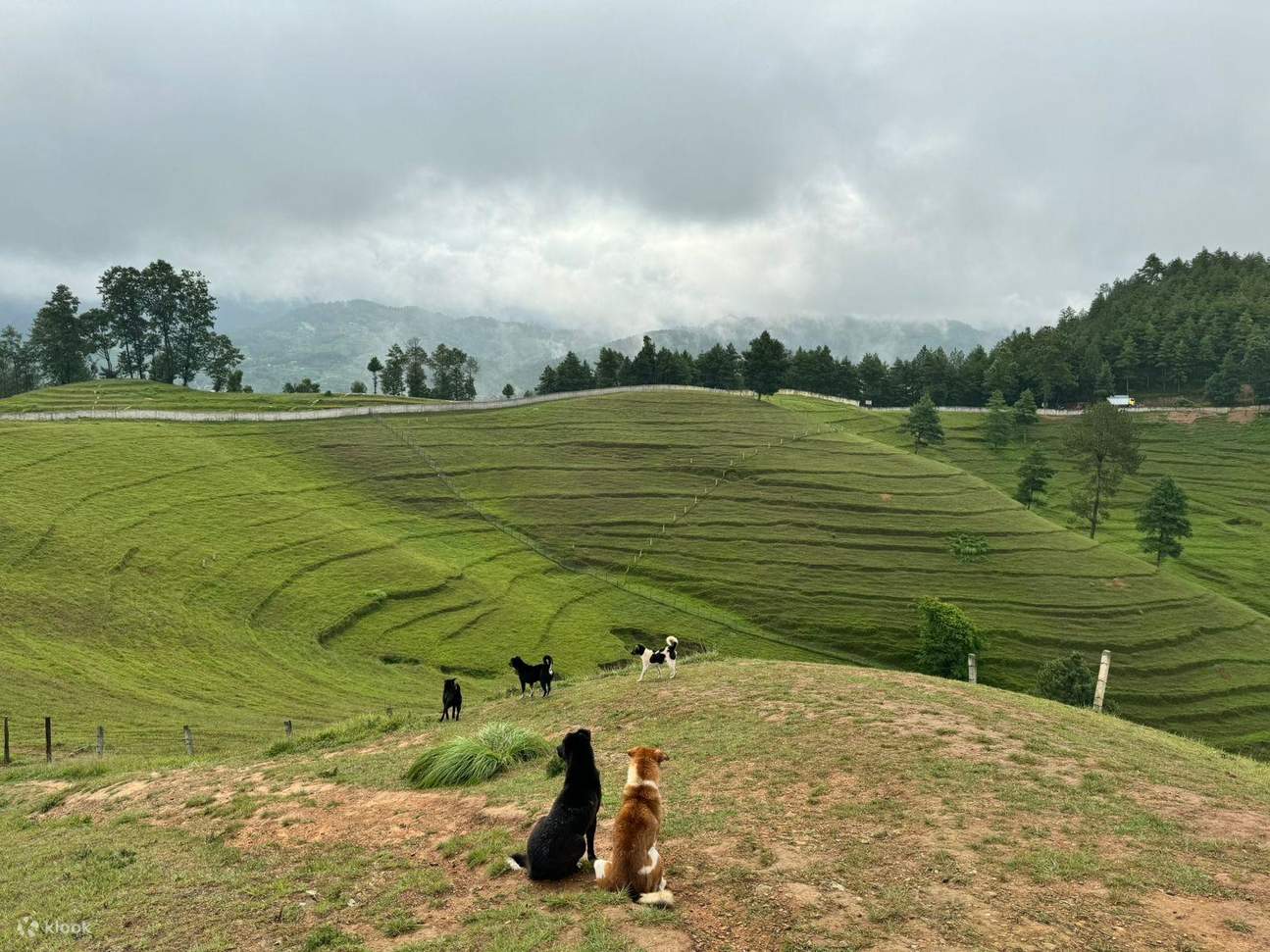 From Kathmandu: Chitlang Day Tour, Wine Tasting and Short Hike - Klook ...